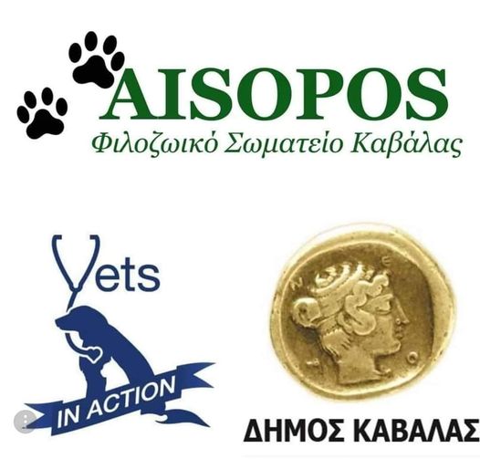 Φιλοζωικό Σωματείο Καβάλας "ΑΙΣΩΠΟΣ" / VETS IN ACTION: Στειρώσεις ...